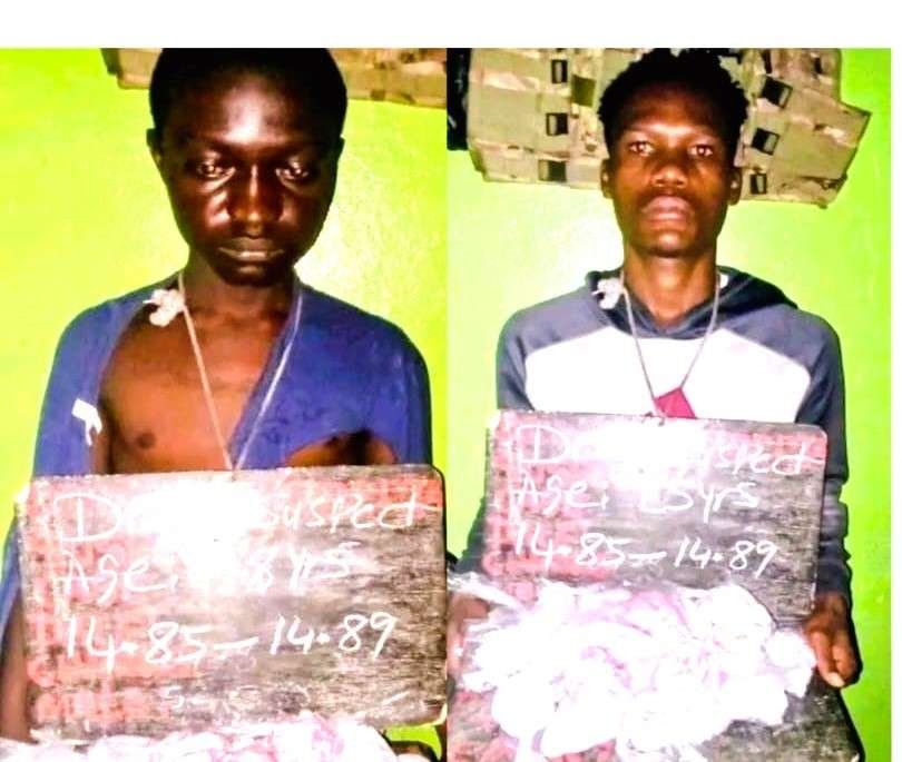 LDEA Nabs Two in West Point with Kush Worth Over US$2,000 - Verity News